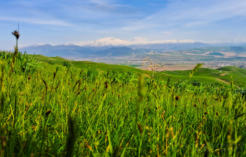 Шаршара ва каньонлар водийси — Товоқсой манзаралари (фото)