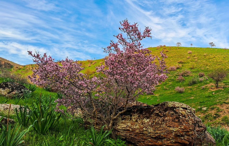 Шаршара ва каньонлар водийси — Товоқсой манзаралари (фото)