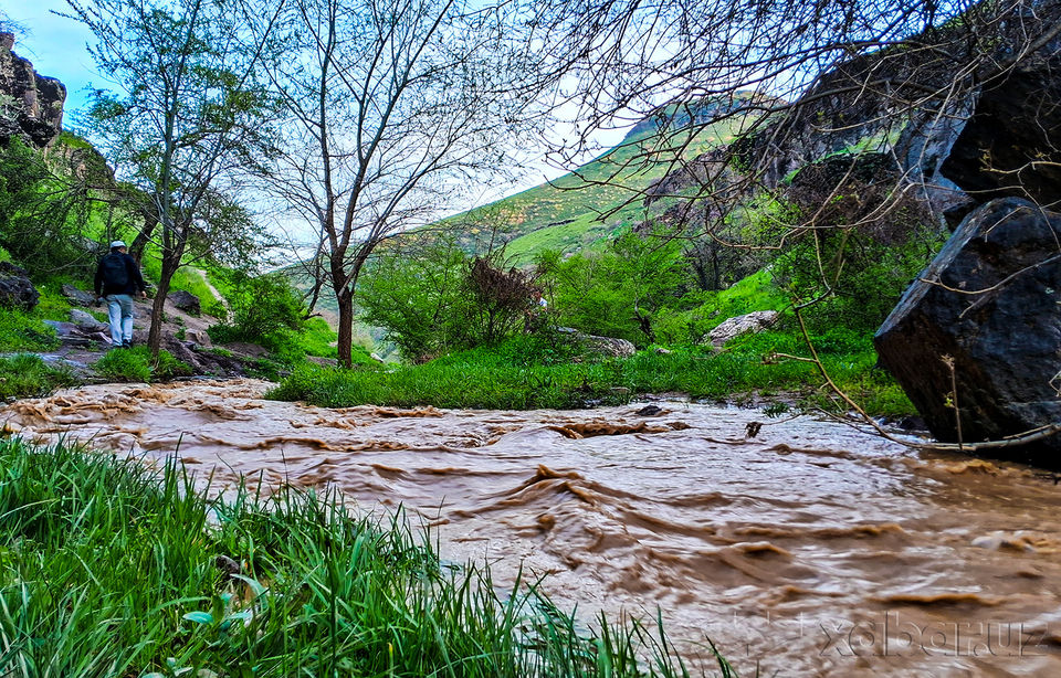 Шаршара ва каньонлар водийси — Товоқсой манзаралари (фото)